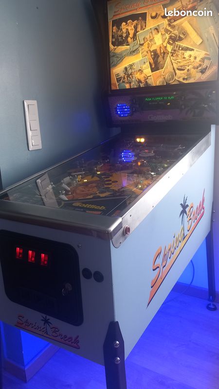 Flipper Spring Break - Collection