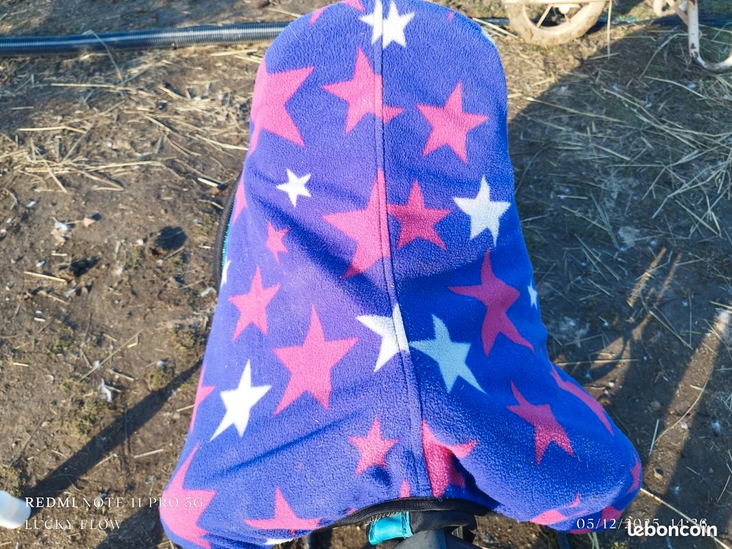 Wintec Isabel Werth 17" - Sport & Plein air