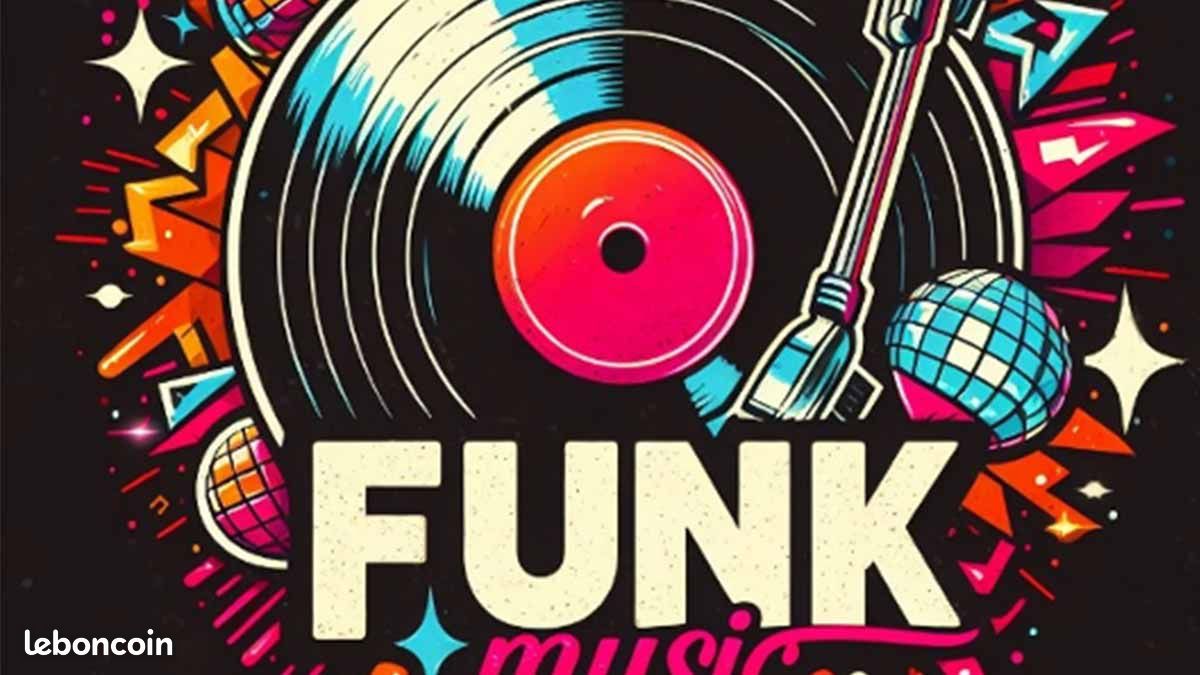 Lot 18 vinyles Maxi 45 T Funk Vintage Old school - CD - Musique