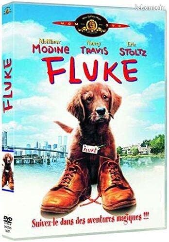 Fluke DVD Suivez le dans des aventures MAGIQUES Matthew Modine - Travis ...