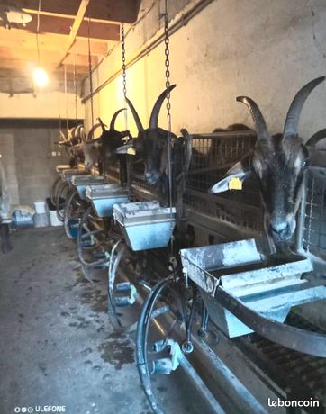 Salle de traite chevre d'occasion - Matériel agricole - leboncoin