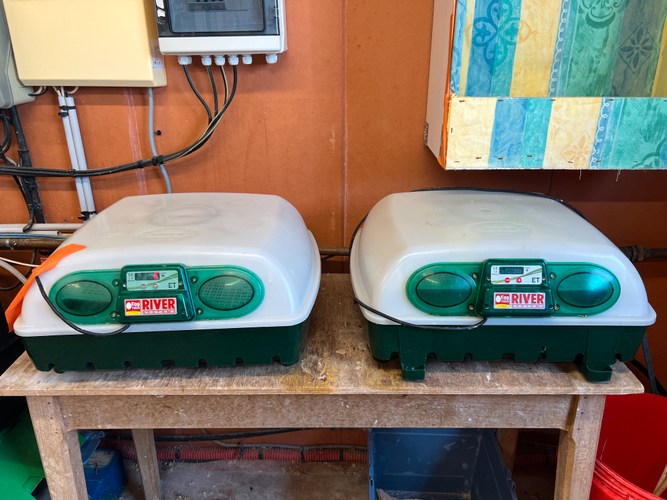 SARL CHENIL DES 4 VENTS - Tangry (62550) - Pro leboncoin