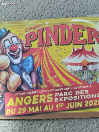 Cirque -Billetterie d'occasion - leboncoin