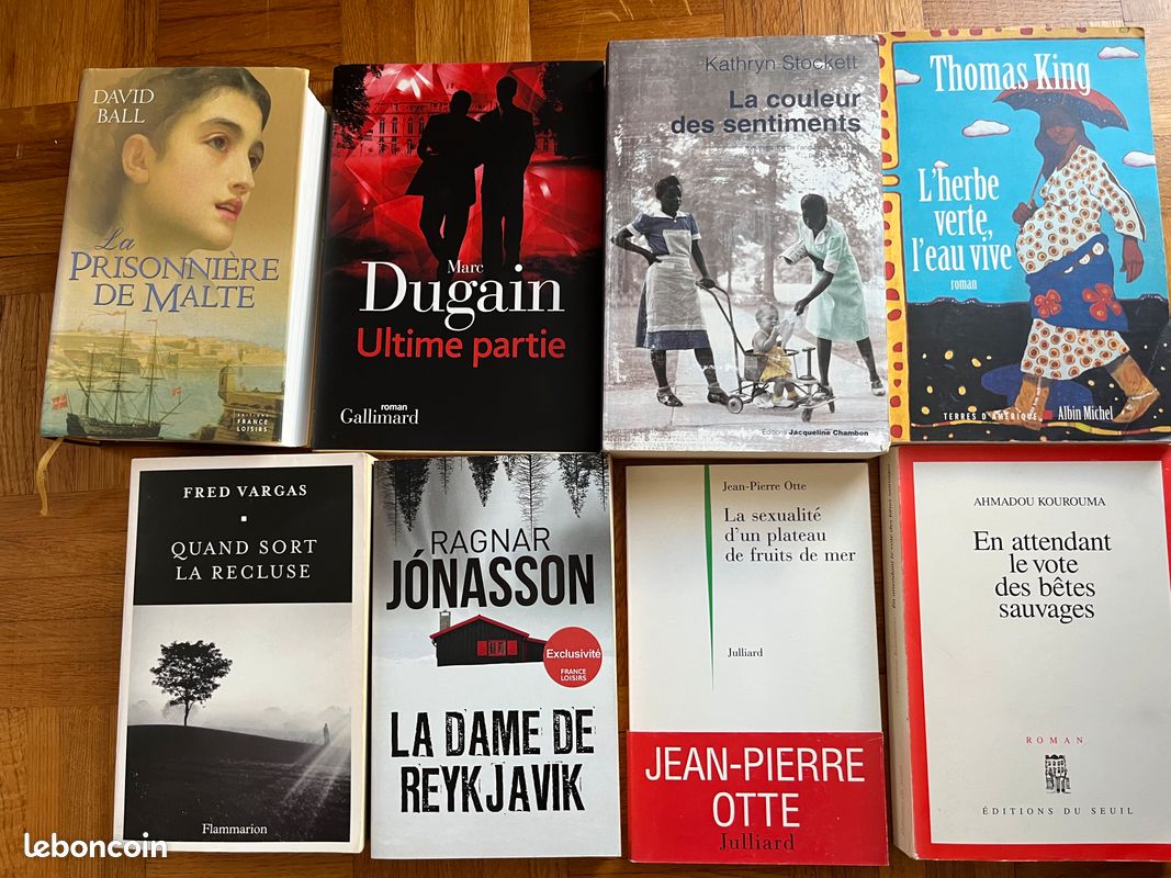 Livre au choix (roman ou policier) - Livres