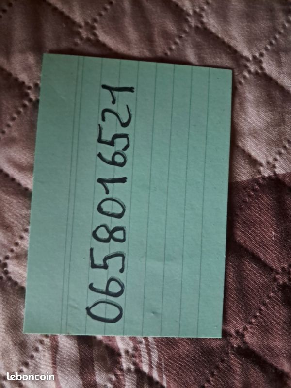 Chalumeau express avec fer à souder et sa bouteille - Bricolage