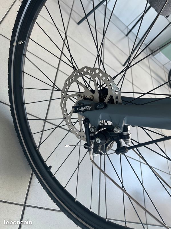 Vélo électrique Alpha argenté - Vélos