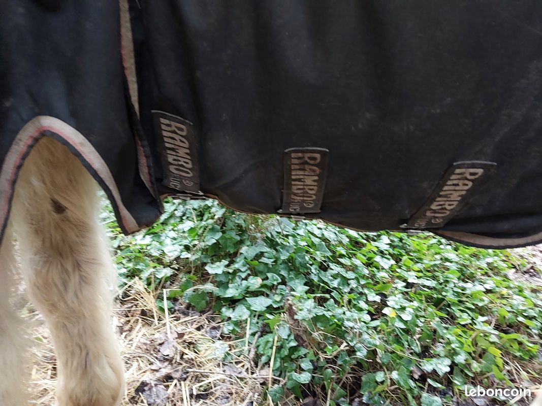 Rambo optimo horseware 5'9 125cm - Sport & Plein air