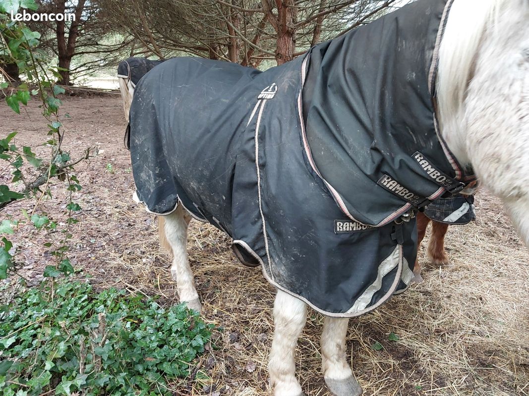 Rambo optimo horseware 5'9 125cm - Sport & Plein air