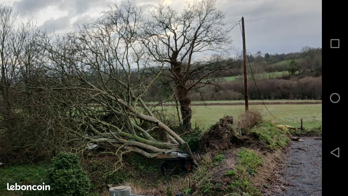 Bois de noyer - Bricolage