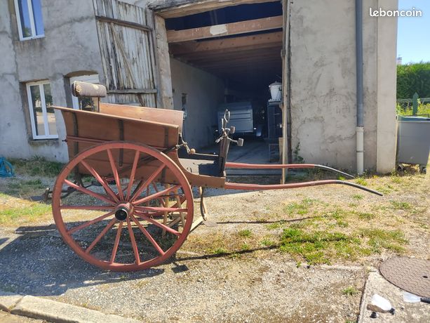 Caleche cheval d'occasion - Sport & Plein air - leboncoin