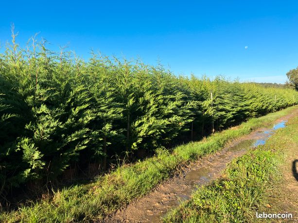 Floirac (33270) - leboncoin