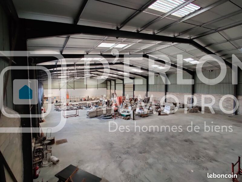 Local bureaux 1 917 m² - Bureaux & Commerces
