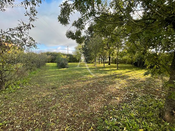 Ventes immobilières Maison Fontenay-le-Comte (85200) - leboncoin