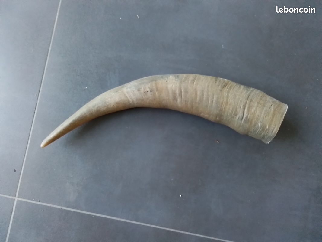 Corne a définir - Collection