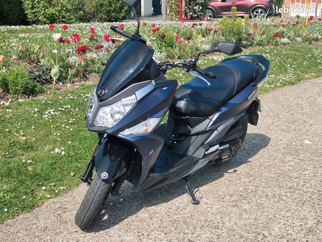 Sym jet 14 50cc - Motos