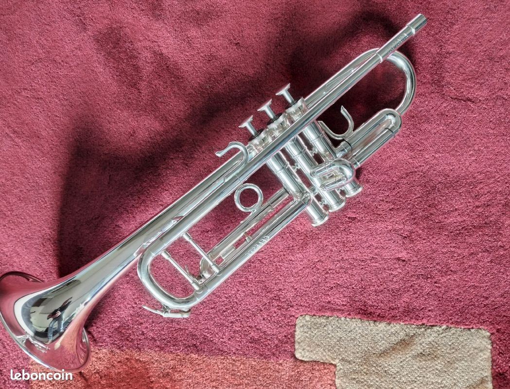 Superbe trompette Eclipse Celeste - Instruments de musique