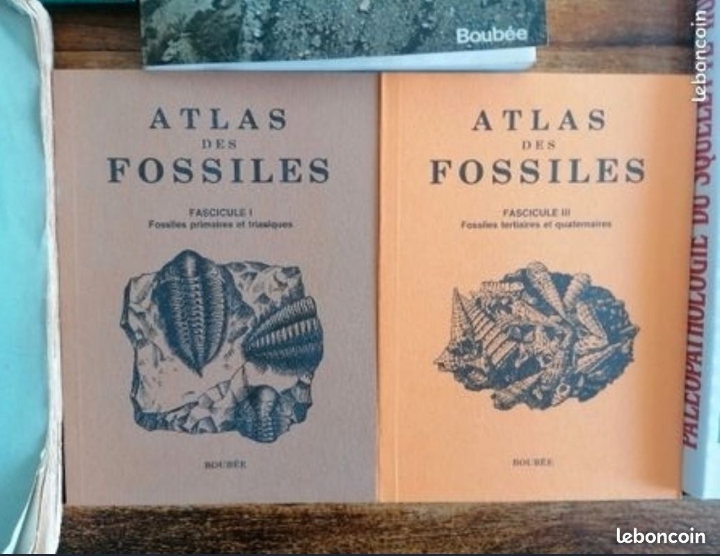Atlas des Fossiles fascicule 3 - Collection