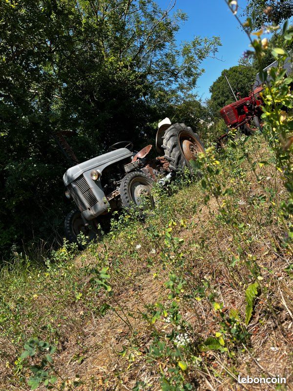 Ferguson tea 20 - Tracteurs