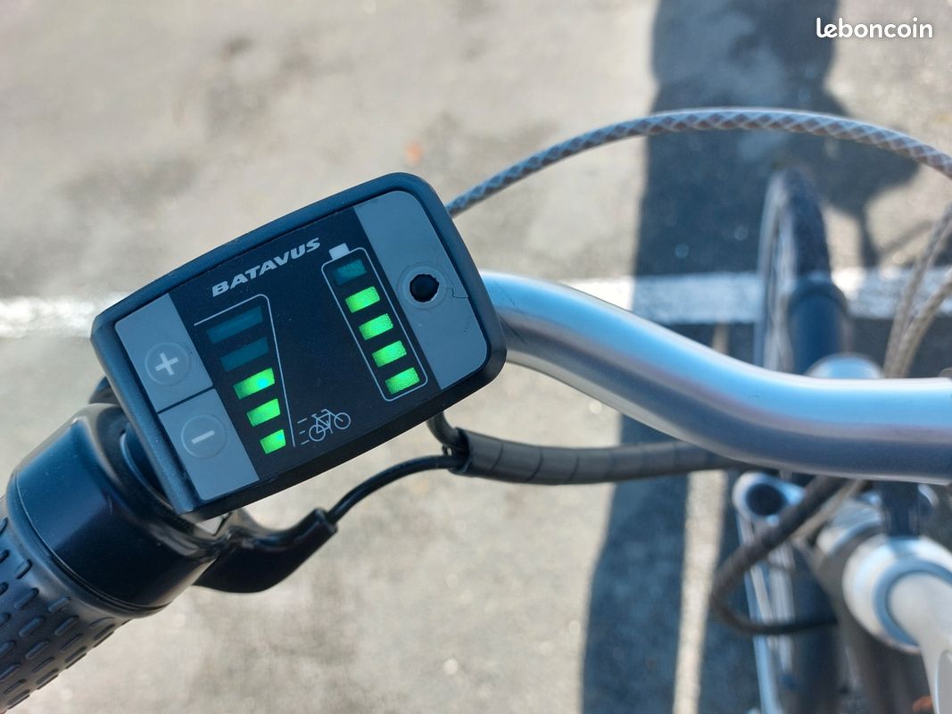 Vélo hollandais Batavus électrique - Vélos