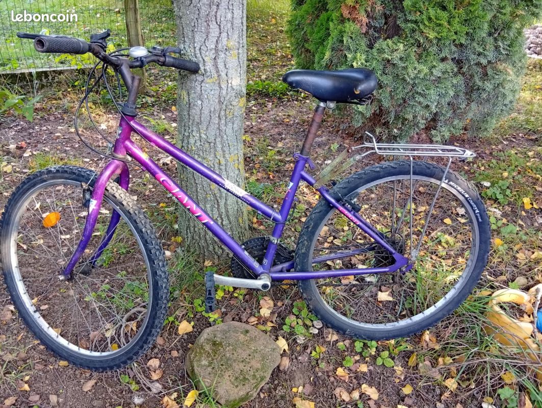 Vélo GIANT à réviser - Vélos