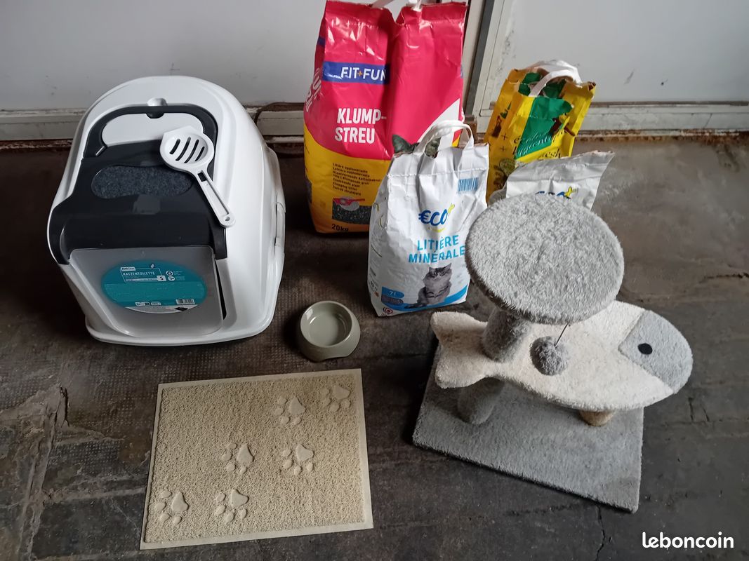 A saisir kit pack chaton litiere+ arbre a chat+ accesoires et produits ...