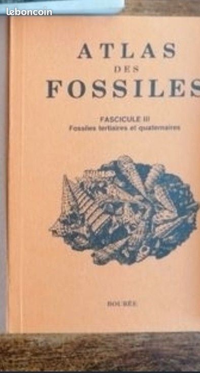 Atlas des Fossiles fascicule 3 - Collection
