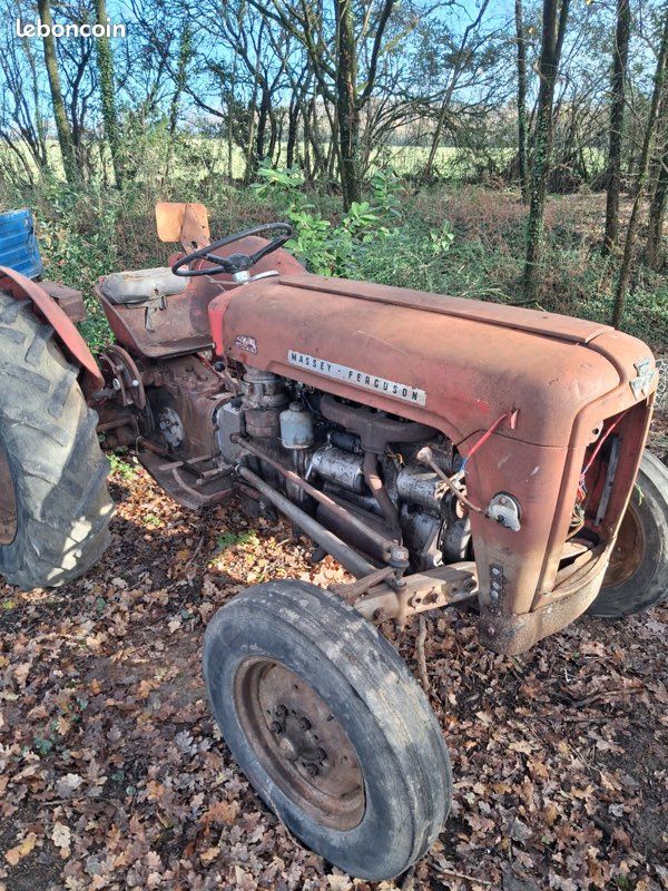 Massey Ferguson 835 - Tracteurs