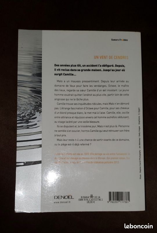 Un vent de cendres - Livres