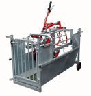 Parage d'onglons caprins et ovins (chèvres et moutons) - Services aux ...