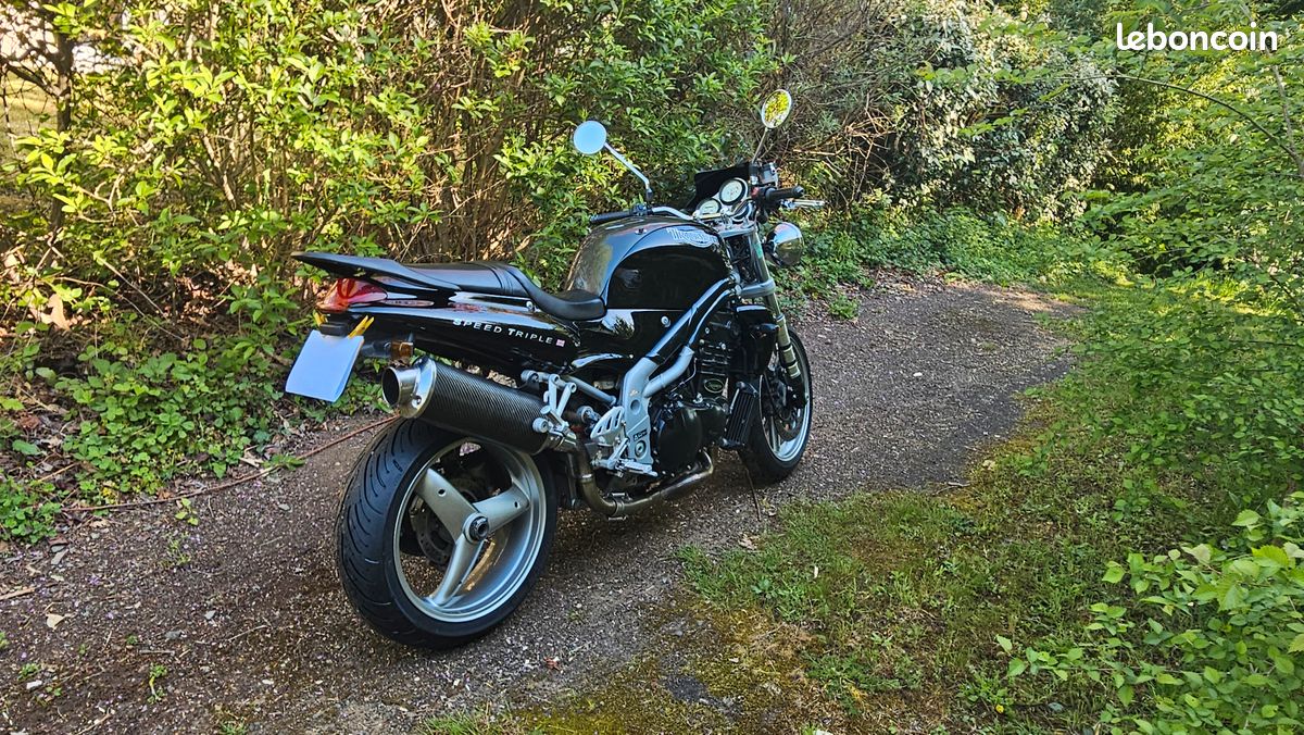 TRIUMPH SPEED TRIPLE 955i de 2001 - Motos