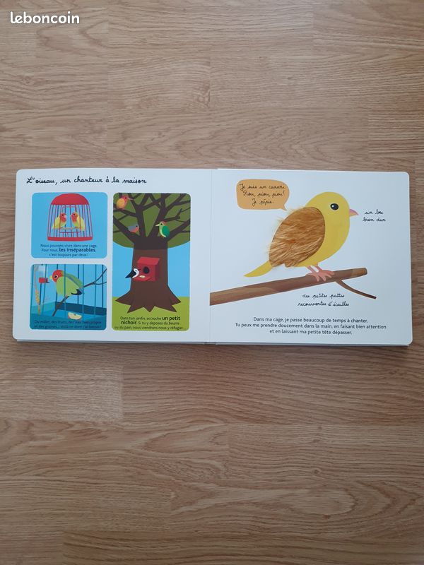 Livre enfant interactif Mes animaux familiers à toucher 0-5 ans - Livres