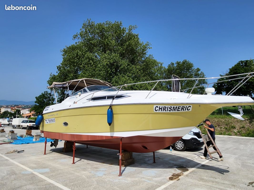 À vendre Regal Commodore 265 fluvio-maritime - Nautisme