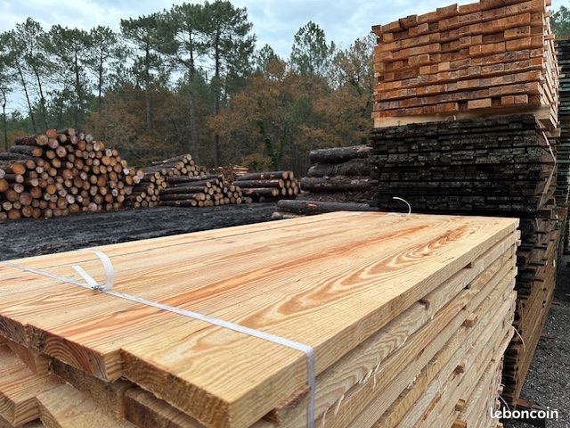 Planche pin des Landes 1er prix - Bricolage