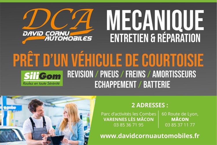 DAVID CORNU AUTOMOBILES - Mâcon (71000) - Pro leboncoin