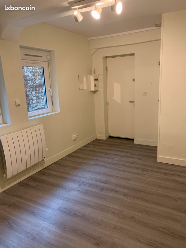 Studio rouen quartier hotel de ville - Locations