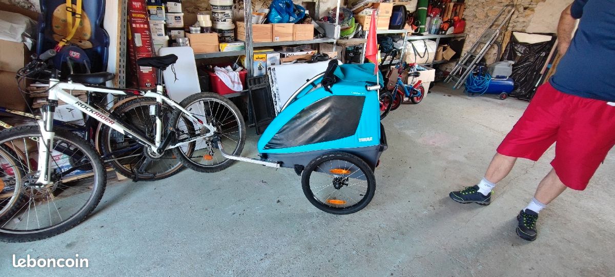 Remorque vélo enfant Thule Coaster 2 XT - Équipements vélos