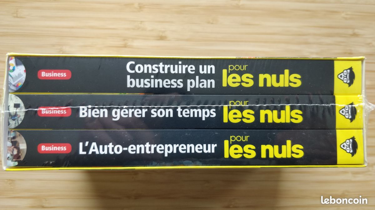 L'auto-entrepreneur tout-en-un pour les nuls - Livres