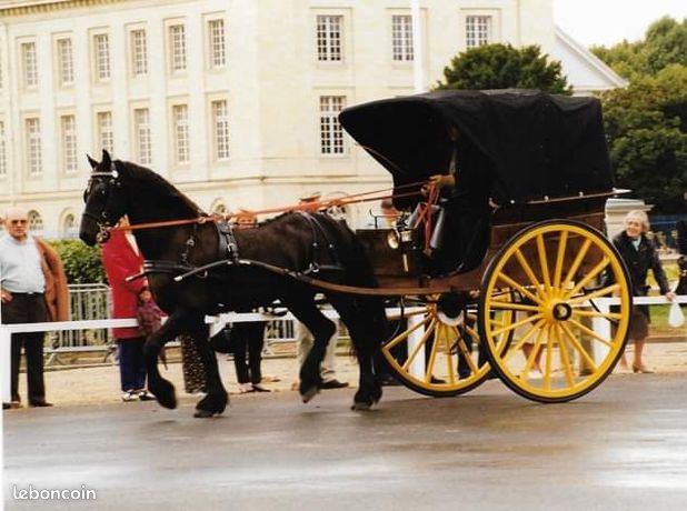 Charette cheval d'occasion - Sport & Plein air - leboncoin