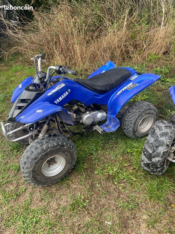 Raptor 80 - Motos