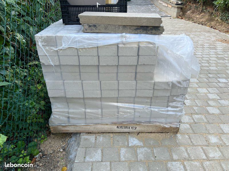 Pavé auto bloquant - Jardin & Plantes