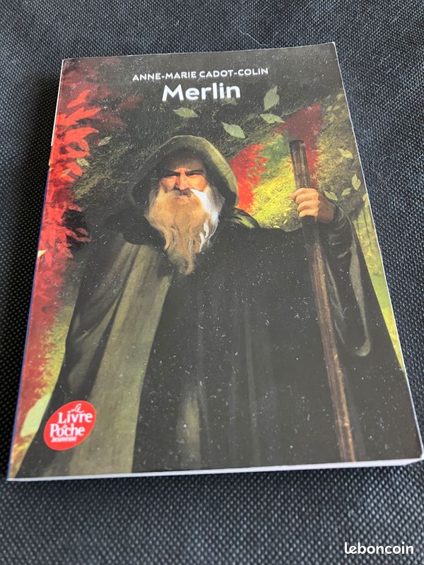 Livre Merlin d’Anne-Marie Cadot-Colin - Livres