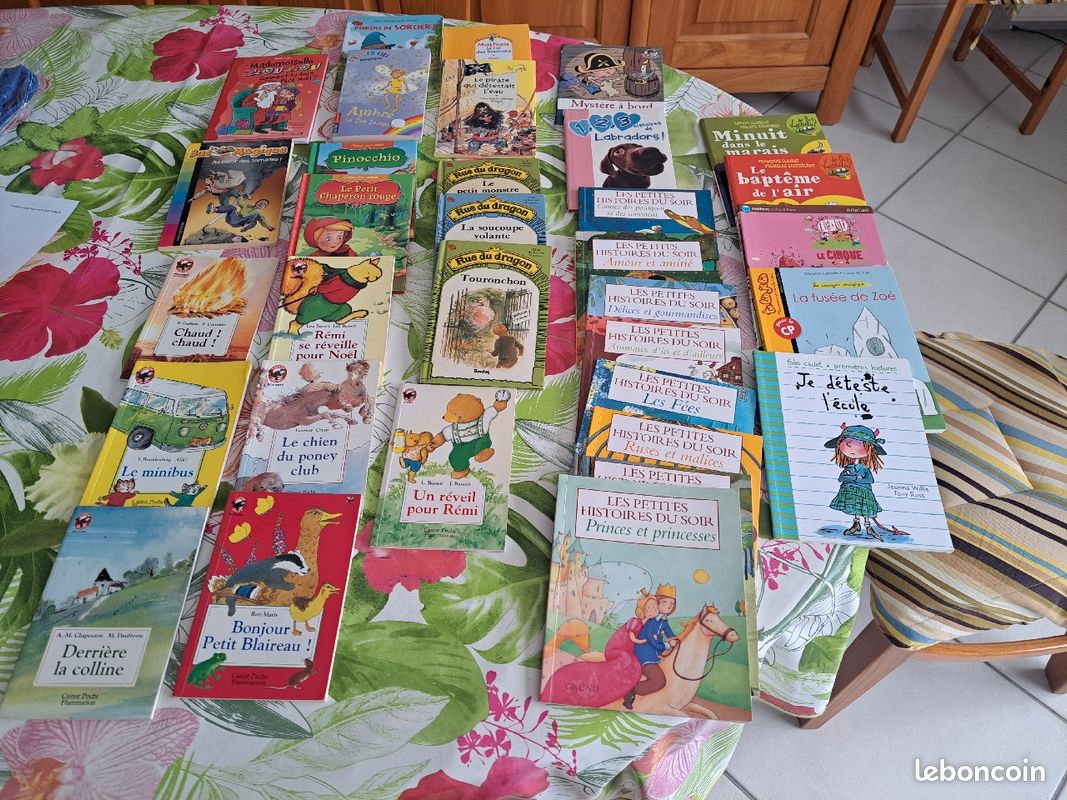 Lot livres petite lecture - Livres