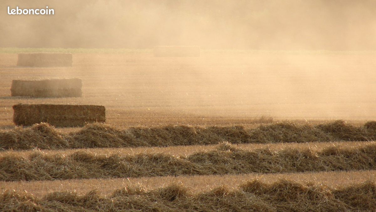 Recherche paille en andain ou échange compost - Matériel agricole
