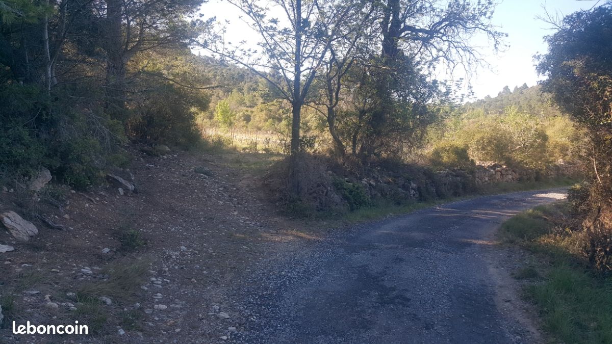 Terrain 4000 m2 non constructible - Ventes immobilières