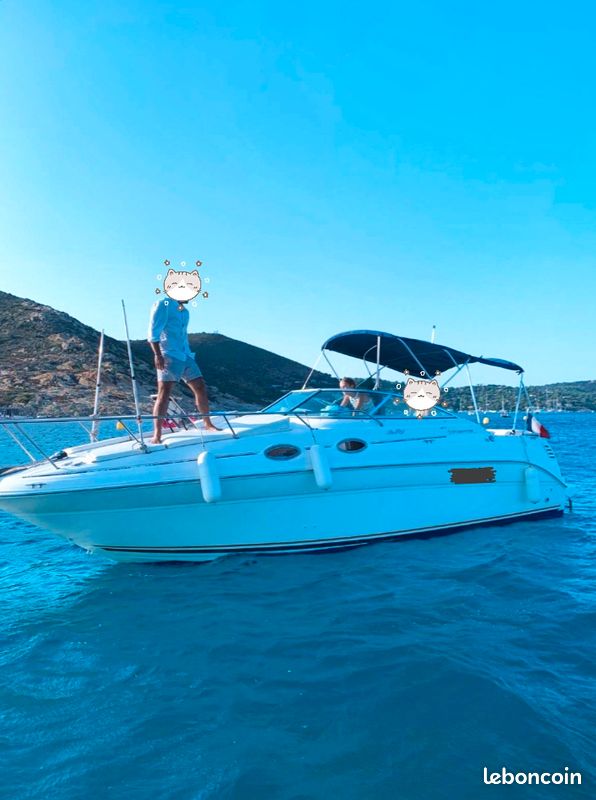 Sea Urgent Sea Ray 260 + possible place port Mandelieu - Nautisme