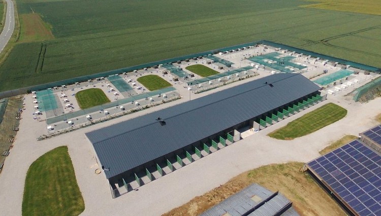 SARL CHENIL DES 4 VENTS - Tangry (62550) - Pro leboncoin