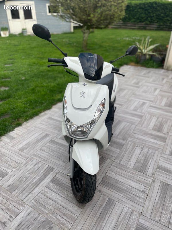 Scooter Kisbee 4T 2022 - Motos
