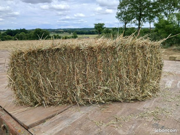 Petite botte de foin d'occasion - Matériel agricole - leboncoin