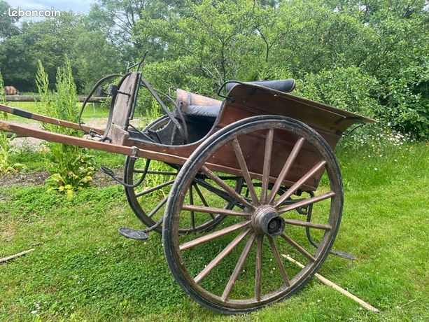 Charette cheval d'occasion - Sport & Plein air - leboncoin