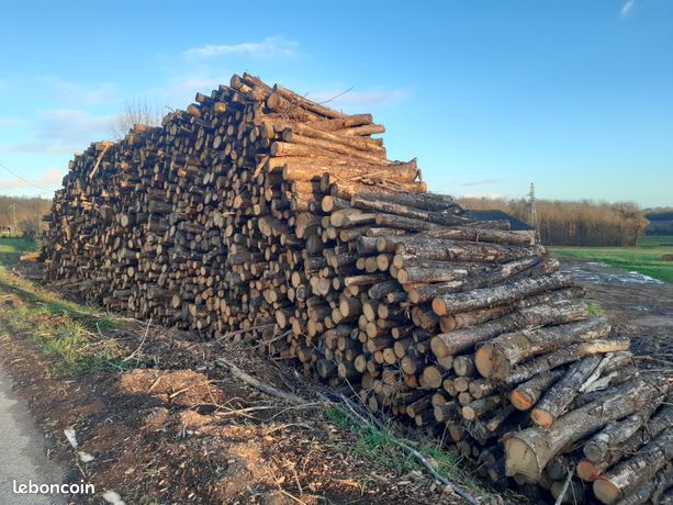 Bois De Chauffage Dans Le 45